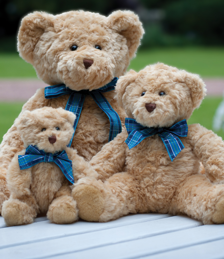 Custom Mumbles Bracken Bear - MM01 - Embroidered or Printed - LogoMeUp